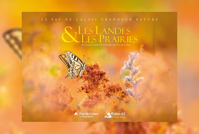 Les landes et les prairies Les landes et les prairies